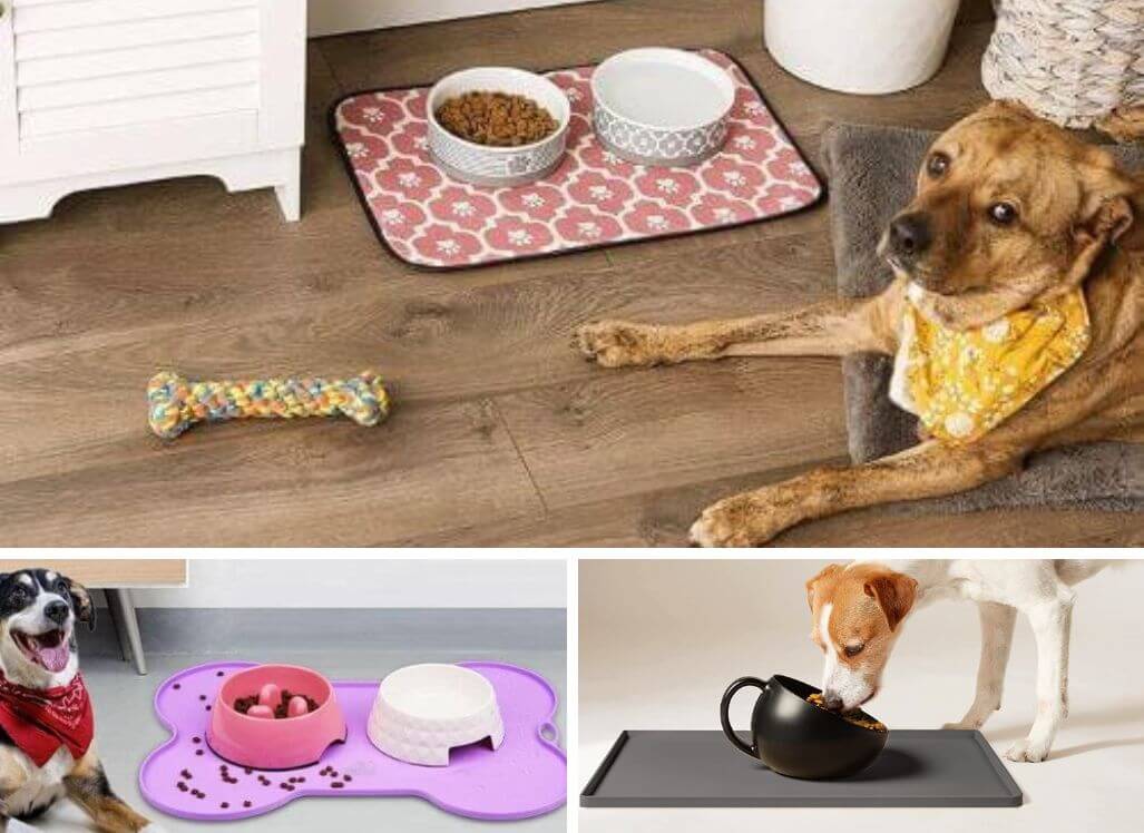 Best Dog Food Mat: No Mess, No Fuss!